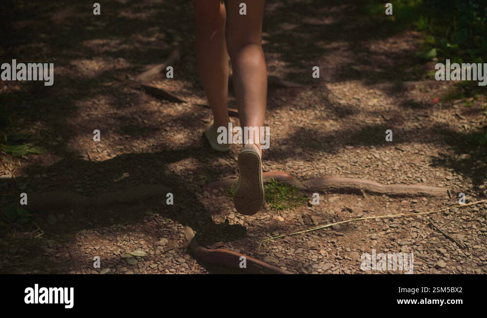 Female feet step on sunlit dirt path walking hiking route Stock Video ...