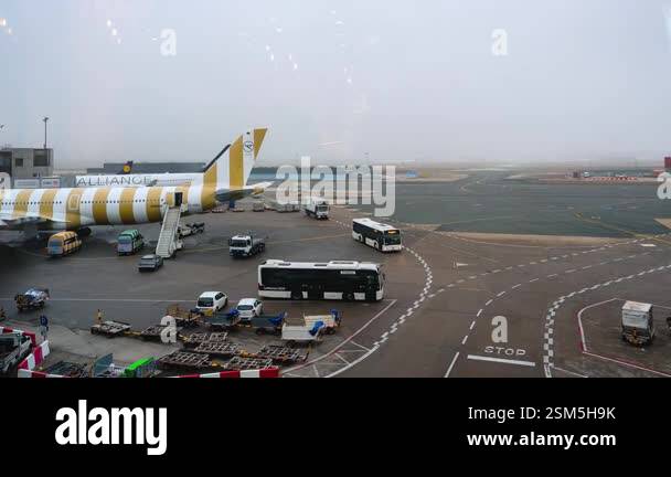 Lufthansa aircraft with yellow and white livery at Frankfurt Airport ...