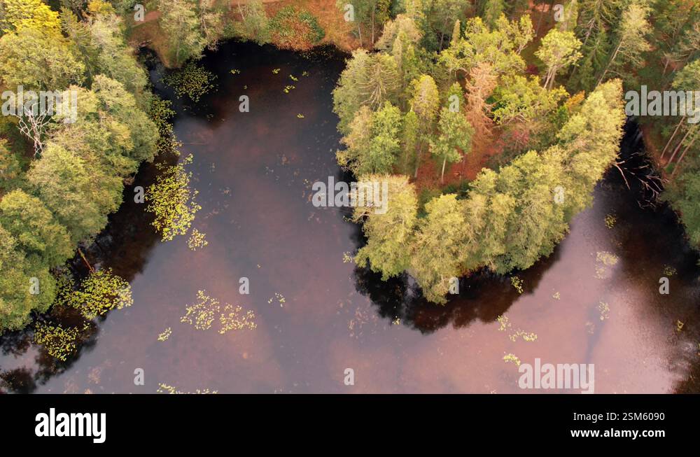 Gulbene city pond and park. The autumn view from the drone of Gulbene ...