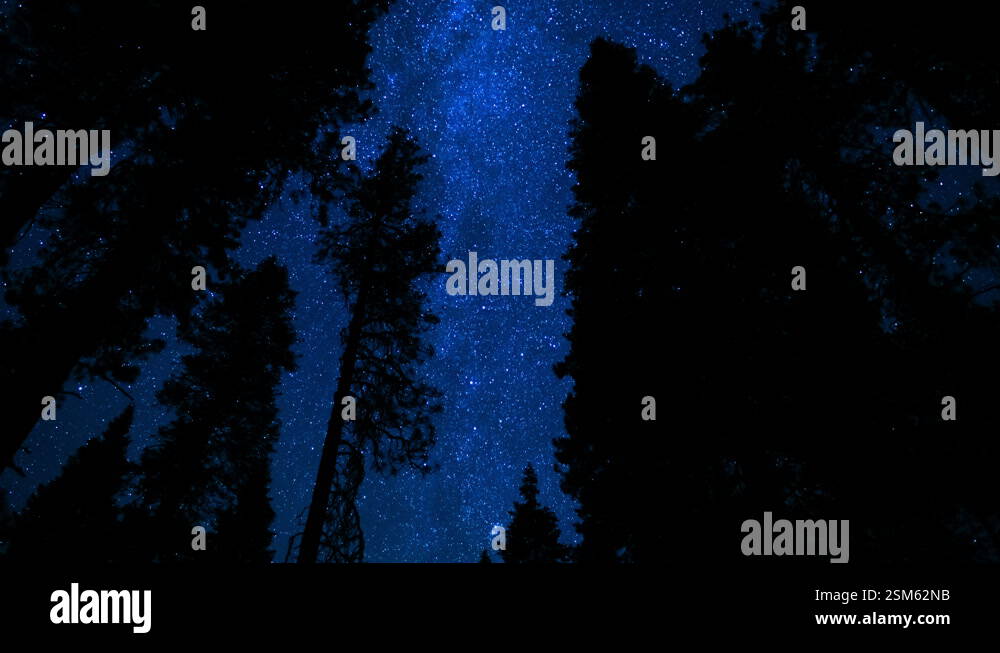 Sequoia National Park Perseid Meteor Shower and Milky Way Galaxy Rise in North Stock Video ...