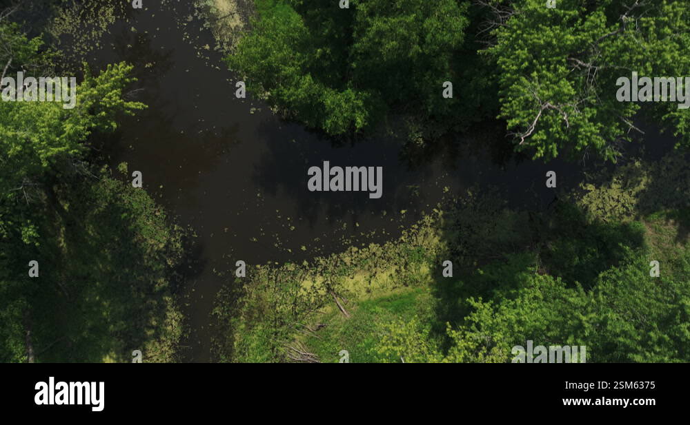 Marshland Pond Surrounded With Trees On Mississippi River Floodplain In ...