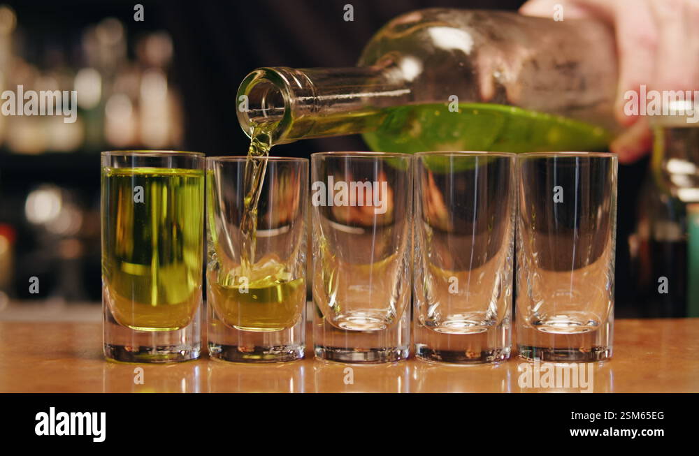 Bartender made some alcohol shots for guests close-up, cheers celebrate ...