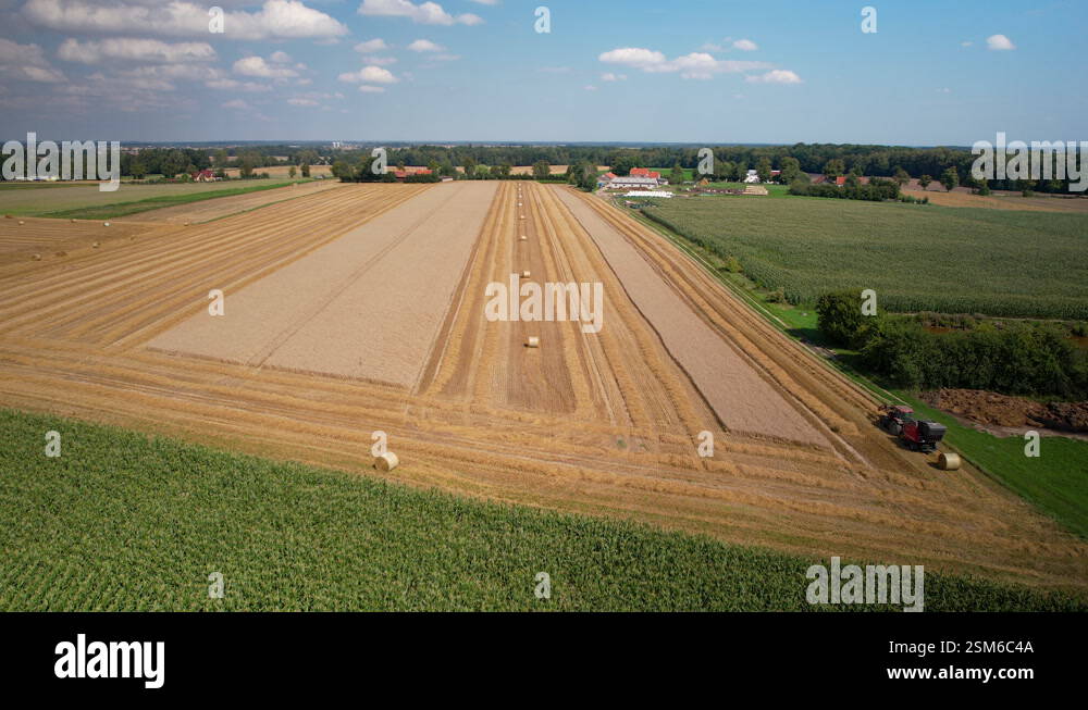 Golden farm field. Agriculture Tractor Collecting Hay Stock Video ...
