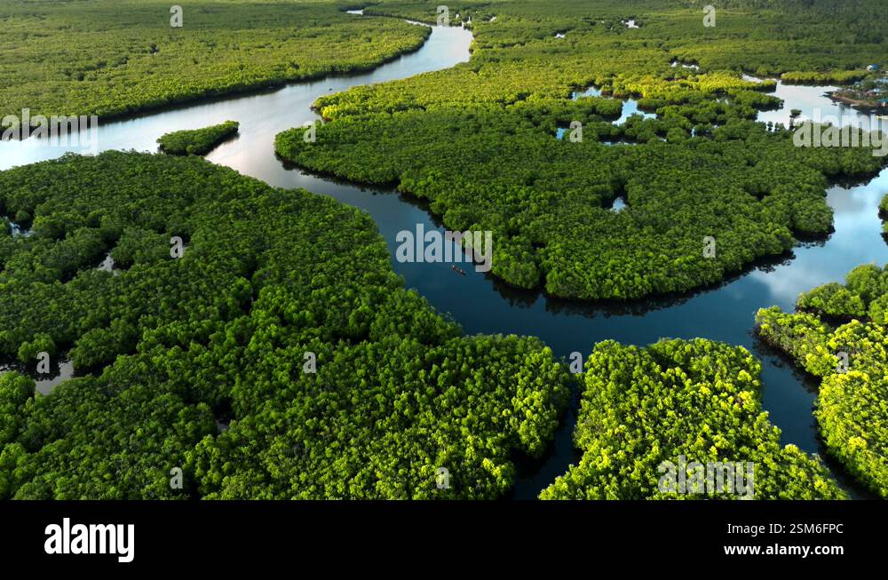 Aerial view of Maasin River, Siargao, Philippines Stock Video Footage ...