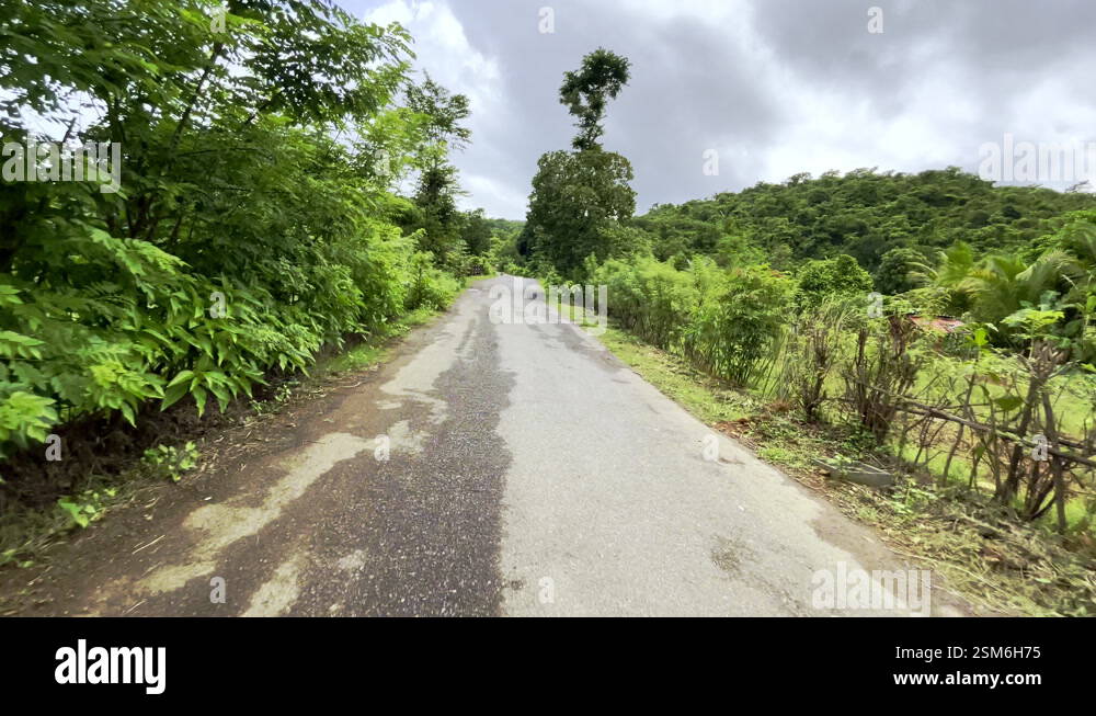 Riding on a path surrounded by lush green trees, Goa India 4k Stock ...