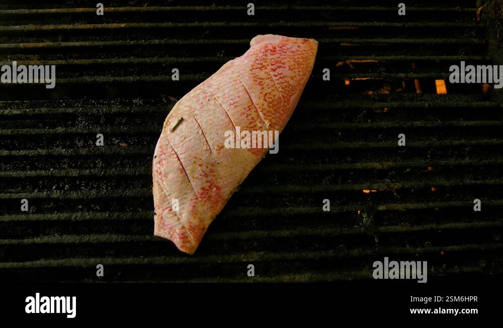 Top down handheld static view of red snapper fish fillet grilling over ...