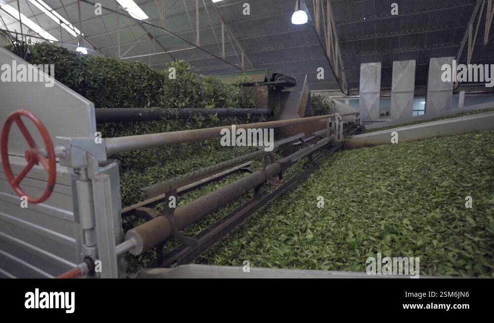 Step by step production Stock Videos & Footage - HD and 4K Video Clips ...