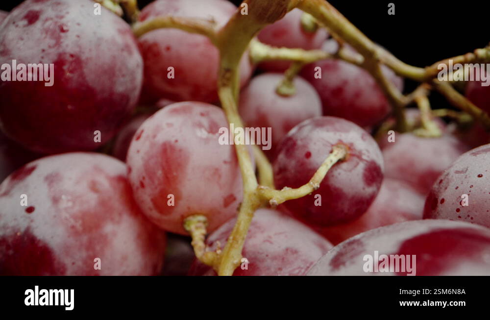 Inside, Clusters of Red Grapes, Against a Black Background. Dolly ...