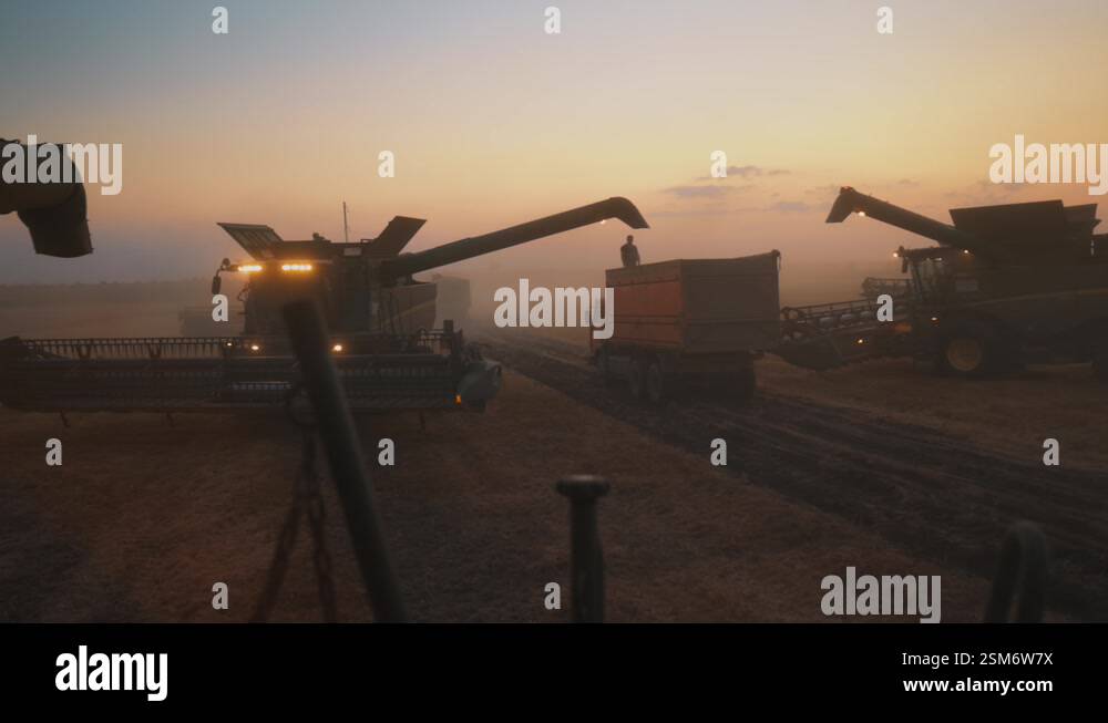 Unloading the combine harvester at sunset, view from the combine ...