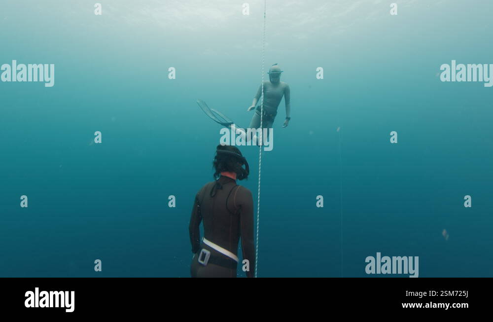 Freediving on a rope. Women freedivers training along the rope in the ...