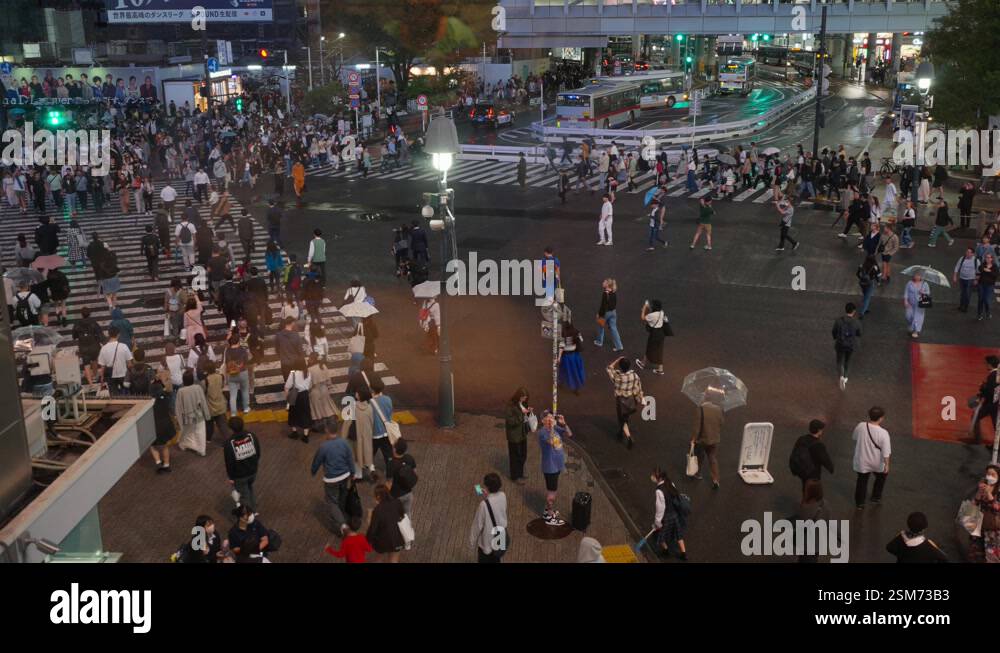 The crowded people walking at the pedestrians crosswalk in night time ...
