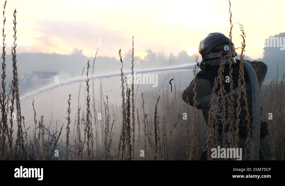 Male firefighter in uniform extinguishes burning grass using a fire ...
