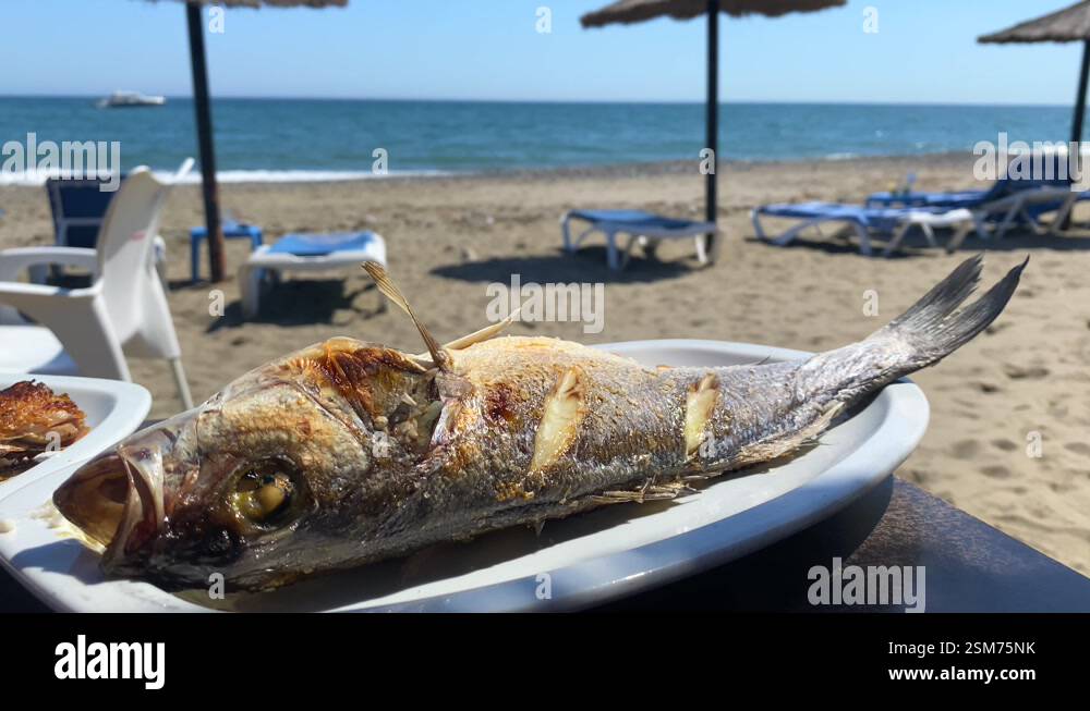 Grilled sea bass fish on a plate at the beach, traditional spanish food ...