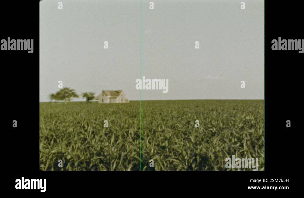 1970s: Dusty road on farm. Farmhouse in middle of growing fields of ...