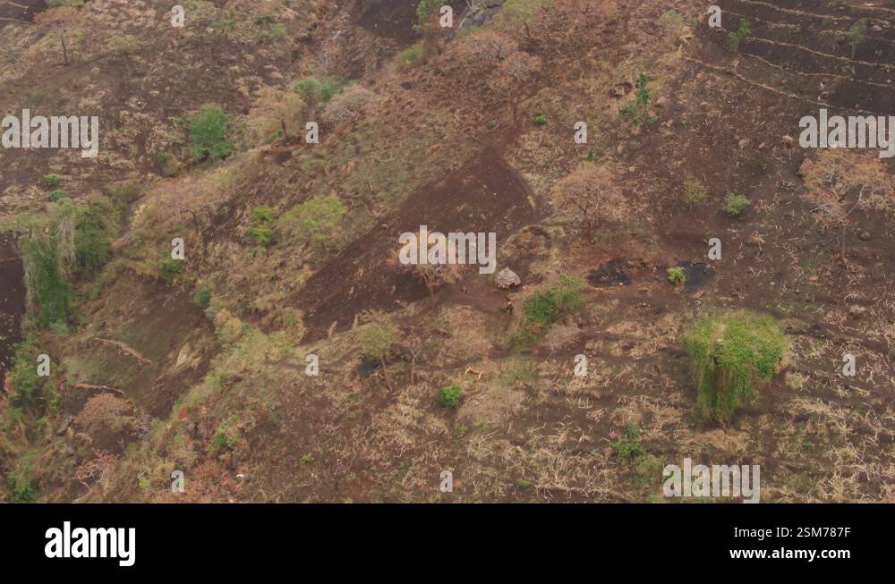 Rural and primitive hut in remote village of Tepes tribe, Uganda in ...