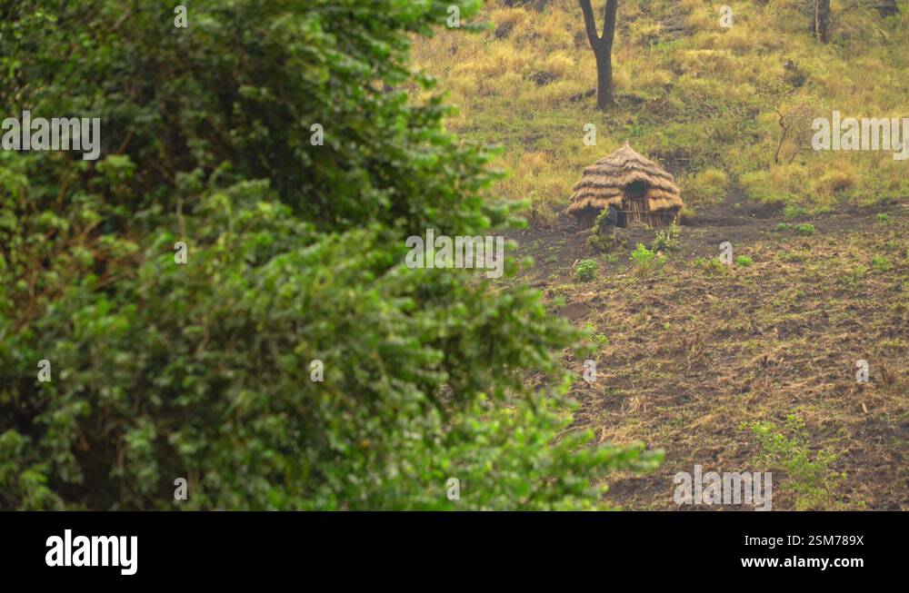 Rural and primitive hut in remote village of Uganda in Africa. Static ...