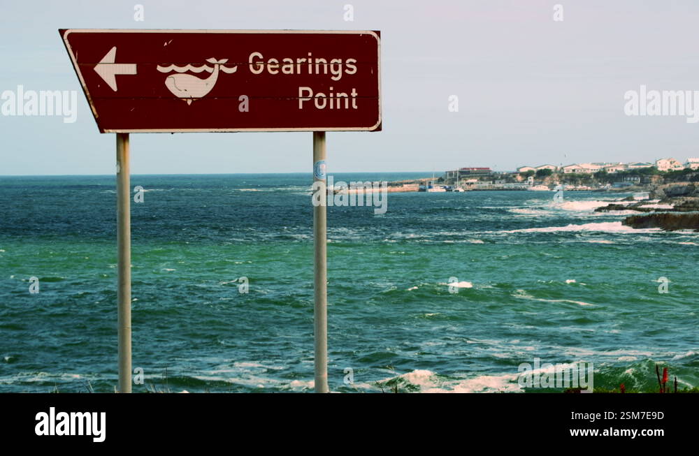 Whale sign Stock Videos & Footage - HD and 4K Video Clips - Alamy