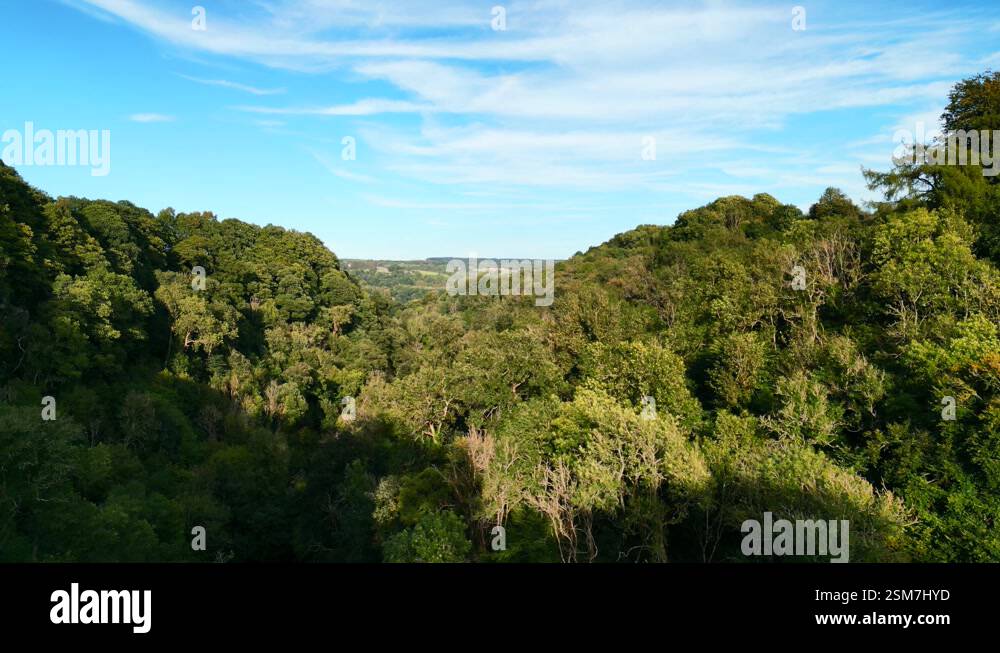 Agilemaneuvering Stock Videos & Footage - HD and 4K Video Clips - Alamy