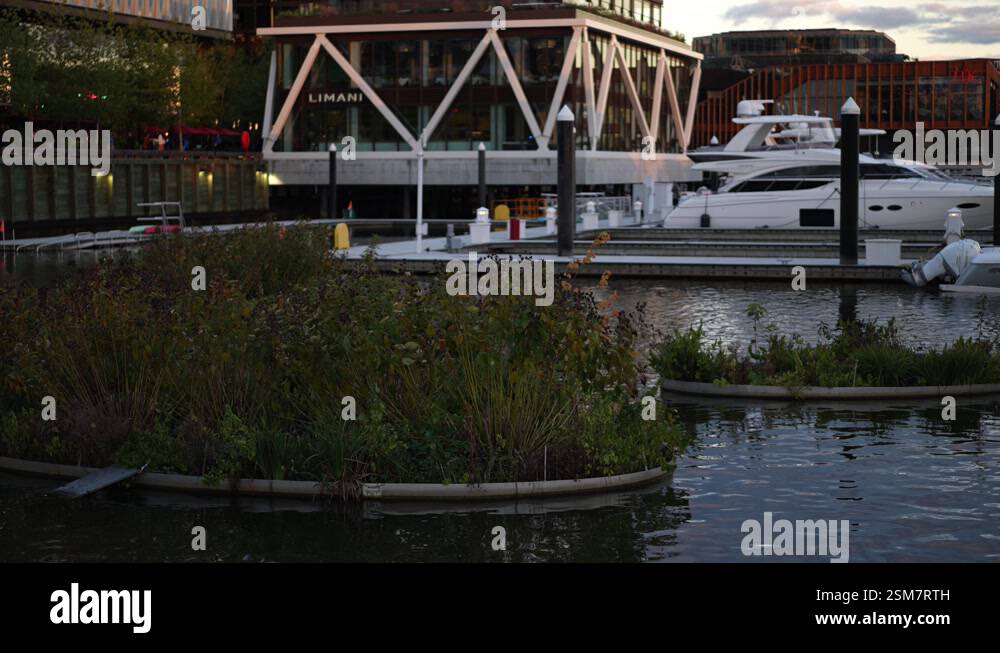 Floating gardens in the District Wharf area in southwest Washington DC ...