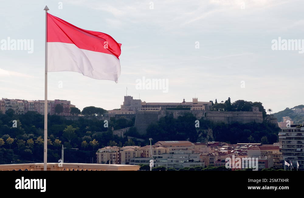 Flags of principality of Monaco in the wind at sunny weather Stock ...