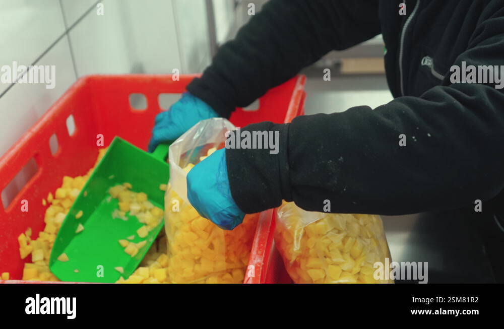 Packing food. Person in protective gloves packing cubed yellow potatoes ...