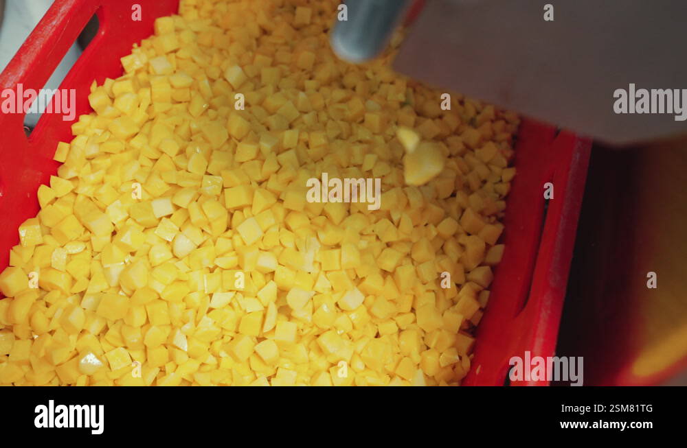 Automatic food cuber for industrial use chopping freshly peeled yellow ...