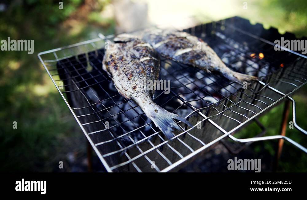Camping Picnic Grilling Food. Fish Dorado. Sea Bream On Grill Stock ...