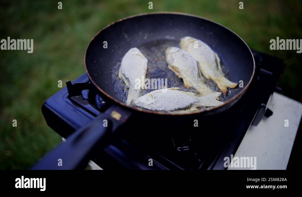 Fried Fish In Pan.Cooked Seafood Hot Oil.Sea Food Horse Mackerel.Fish ...