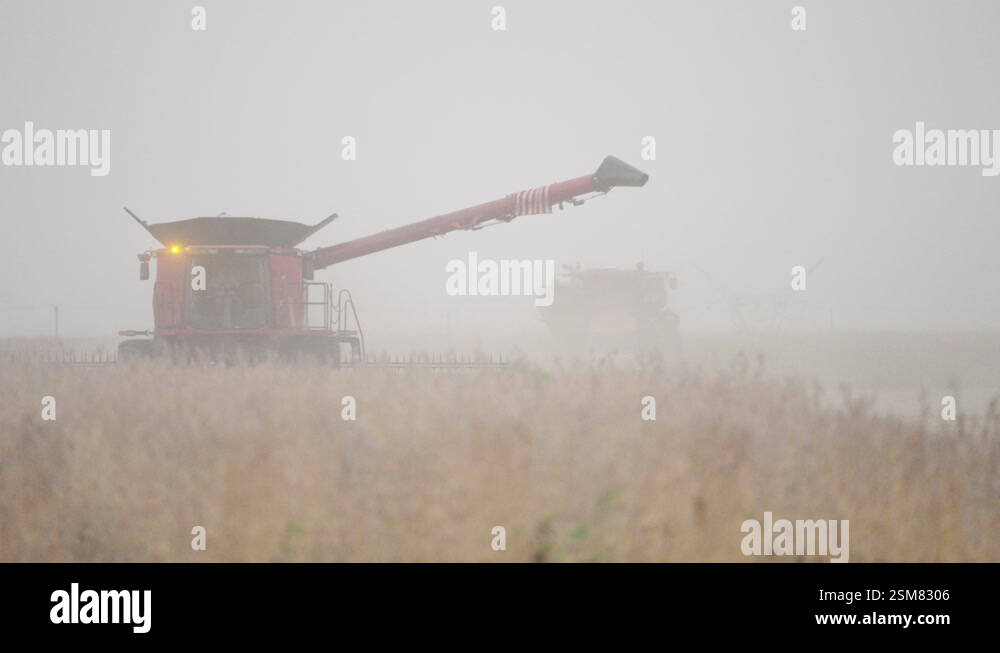 Combine Harvester with Blinking Lights Harvesting a Dusty Field on an ...