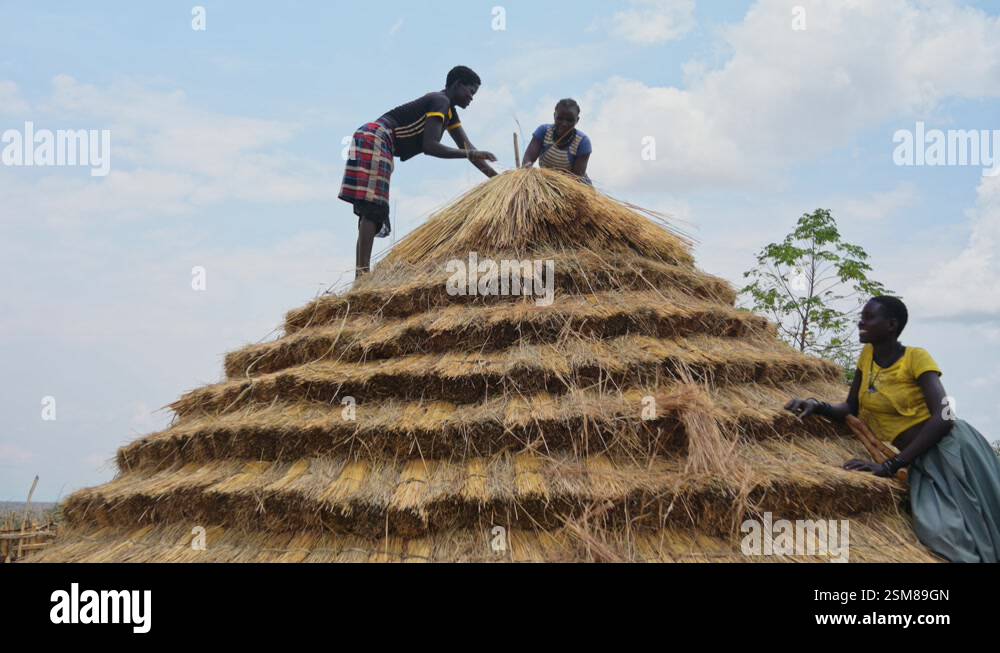 Authentic real-life scene of African people building hut roof, Africa ...
