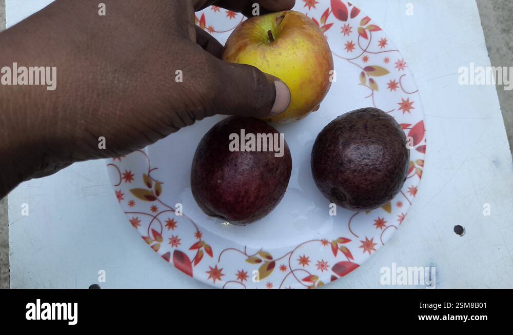 The delicious Fruits come from the flowering part of a plant and ...