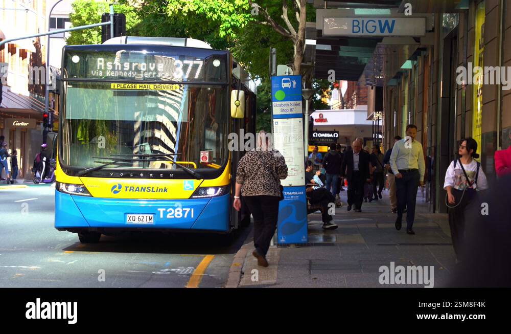 Brisbane public transportation, static shot capturing Ashgrove 377 bus ...