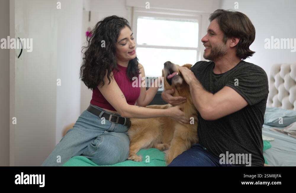 Couple playing with Dog at home sitting on bed. Young man and woman interac Stock Video Footage ...