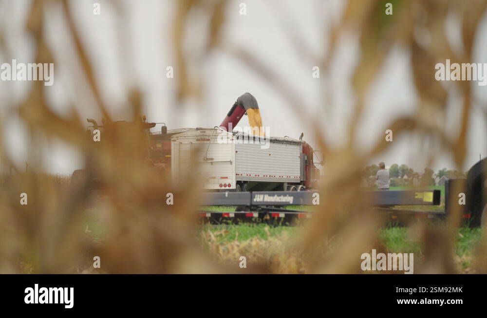 Loading semi truck Stock Videos & Footage - HD and 4K Video Clips - Alamy