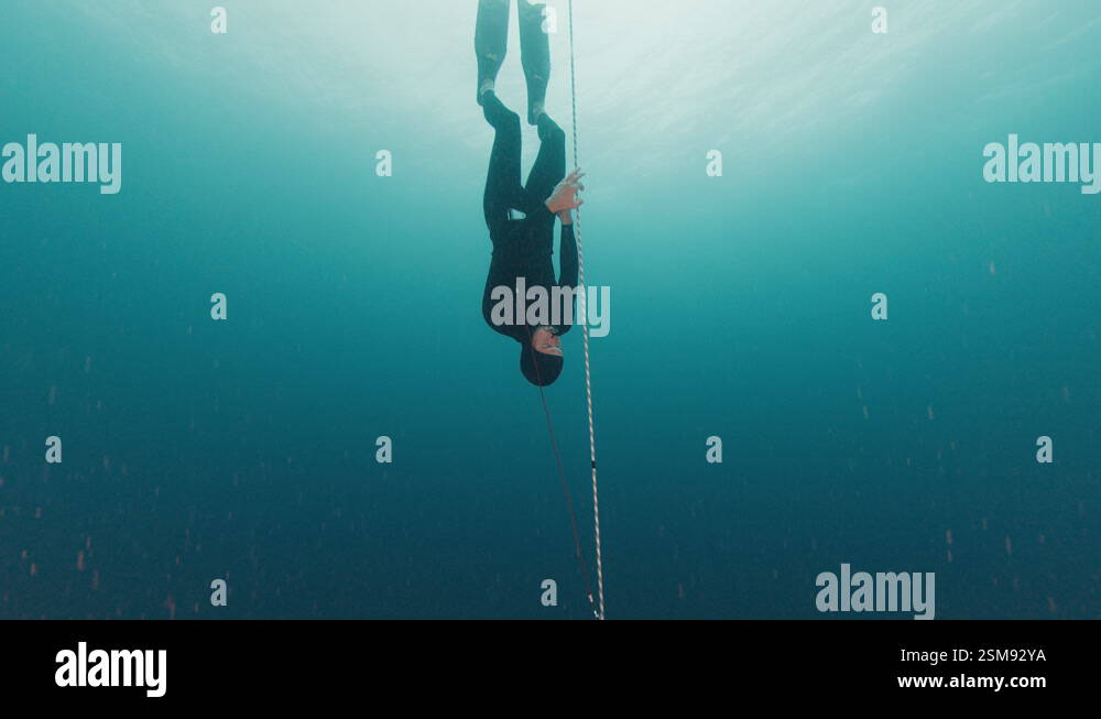 Freediving on a rope. Man freediver training along the rope in the sea ...