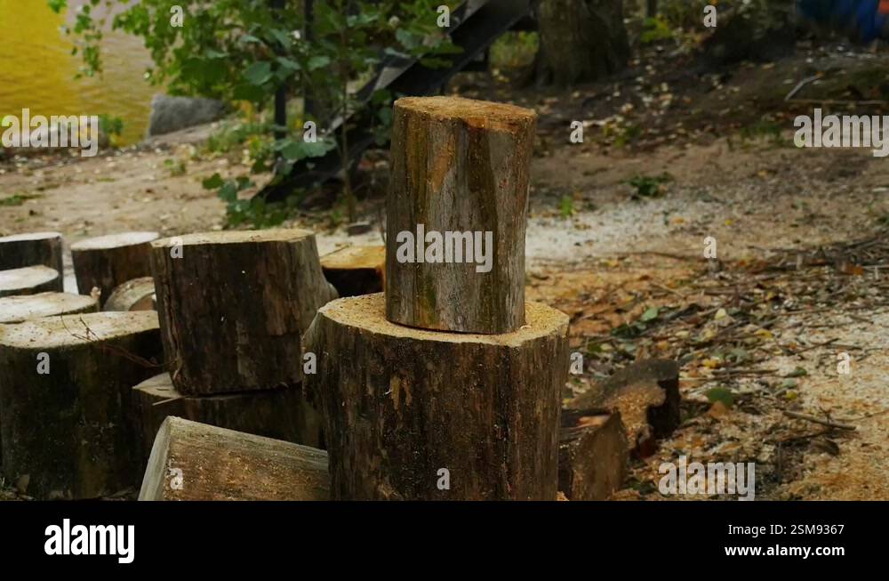 man with effort chops large logs with a cleaver close-up, slow motion ...