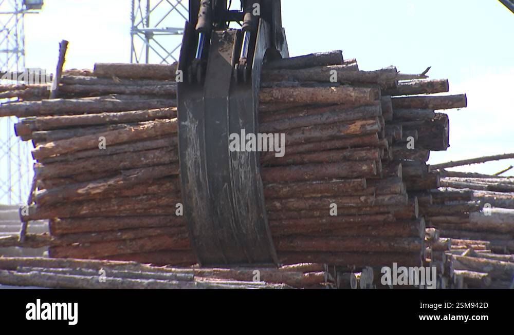 Firewood logging Stock Videos & Footage - HD and 4K Video Clips - Alamy