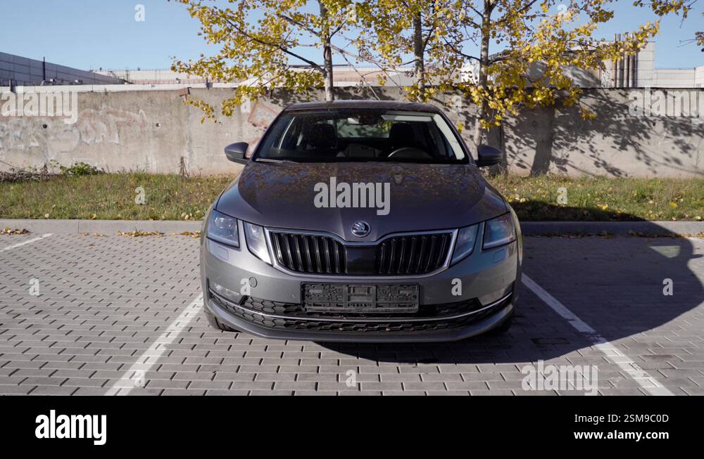 The radiator grille Stock Videos & Footage - HD and 4K Video Clips - Alamy