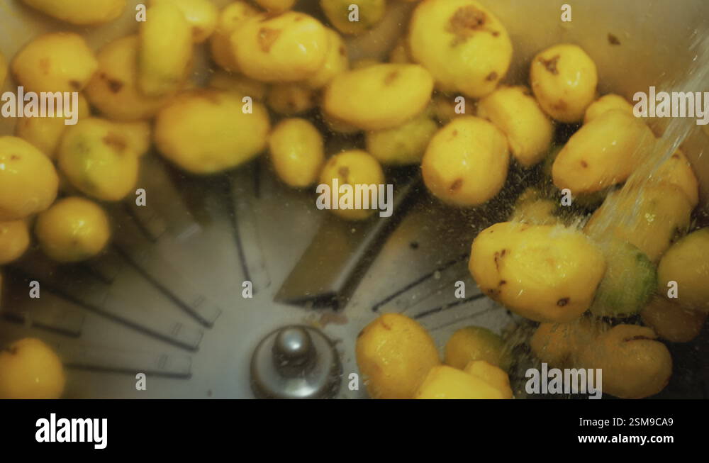 Fresh clean food. Cleaning process of potatoes. Many yellow potatoes ...