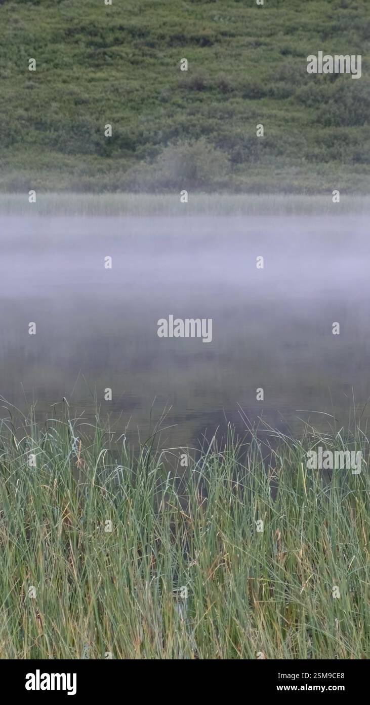 Vertical video of morning fog over water. Lake Chagako Stock Video ...