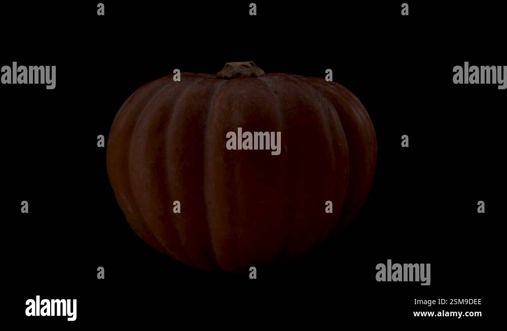 A pumpkin rotates on a black background, slowly moving into the shadow ...