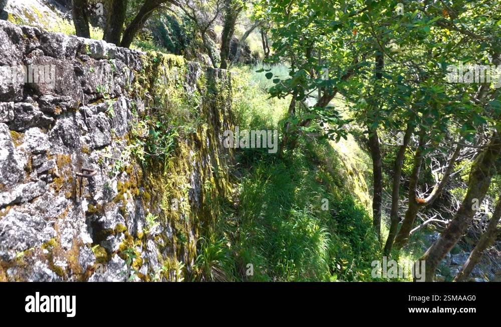Walking down the wall. Route in the Desfiladero do Eume, Fragas do Eume ...