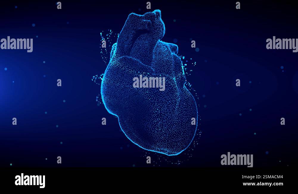 Blue Shine Human 3d Heart Hologram Scanning Effects With Light Flare ...