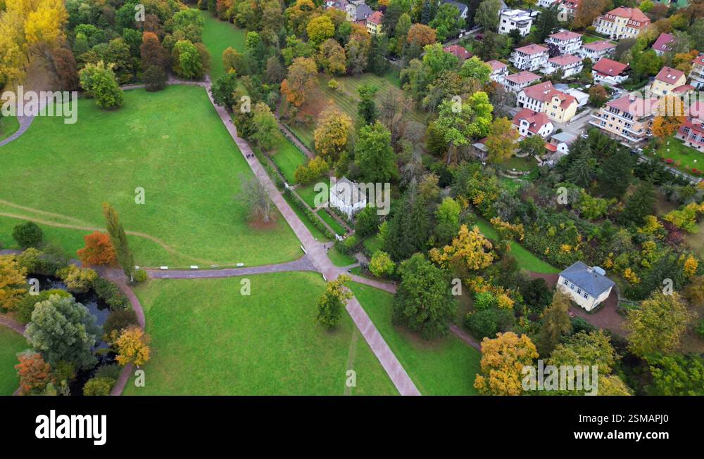Goethe tree Stock Videos & Footage - HD and 4K Video Clips - Alamy