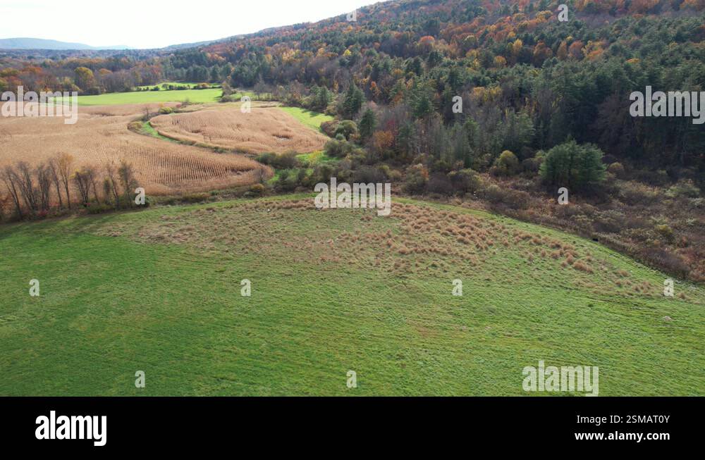 Science field trip trees Stock Videos & Footage - HD and 4K Video Clips ...