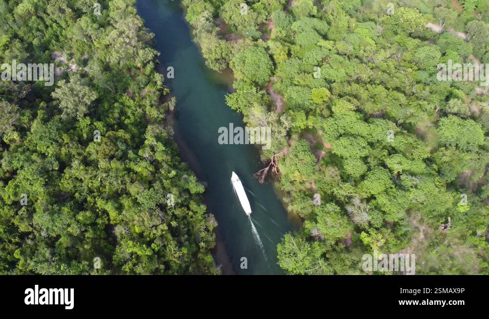 Madagascar deforestation river Stock Videos & Footage - HD and 4K Video ...