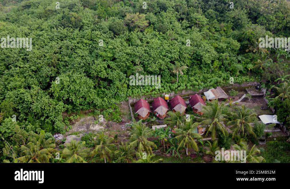 Eco-friendly Huts and cottage bungalows amid lush forest, Nusa Penida ...