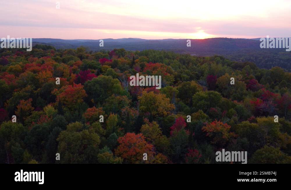 Sunset Fall Foliage Drone Shot Above the Treeline in La Vérendrye ...