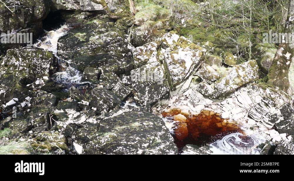 Peat stained water in a limestone spring at the head of Chapel-le-Dale ...