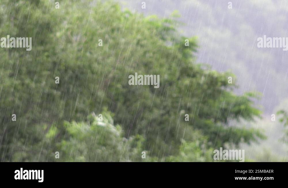 Rain, Raining Day, Inundation, Flooding, Storm, Torrential Rainfall ...